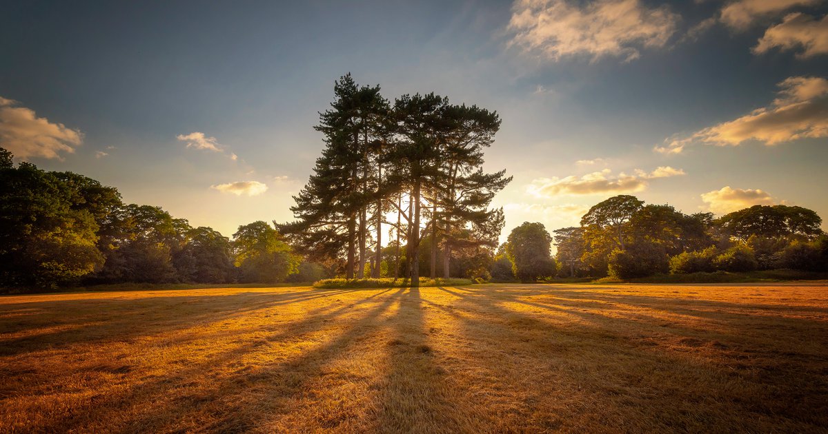 The green revolution • CLA