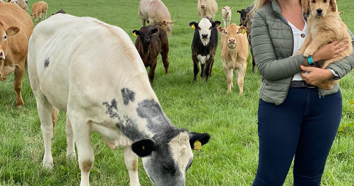 Farewell to an extraordinary 2020 • CLA