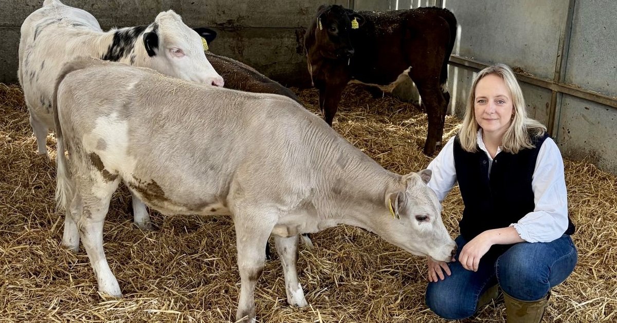 Defra to tighten waste carrier checks, after CLA cow approved for ...