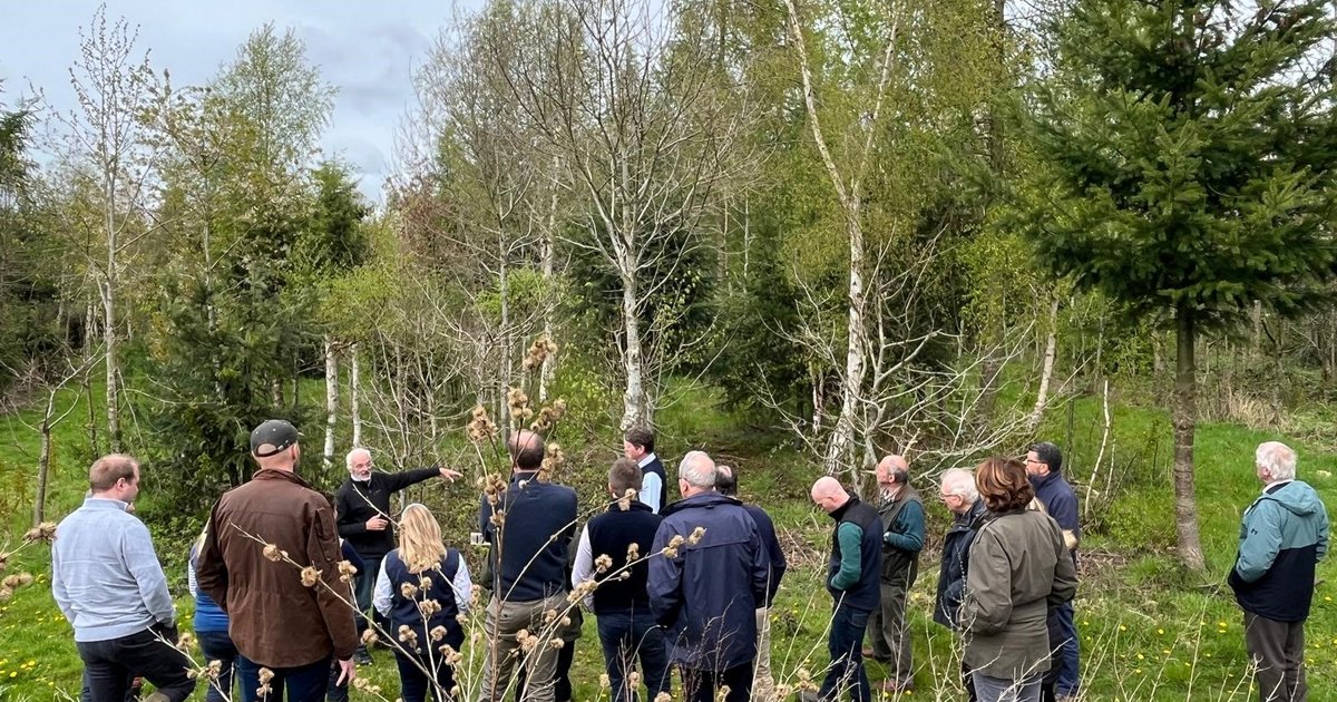 From the Industrial Revolution to The Birmingham Institute for Forest ...