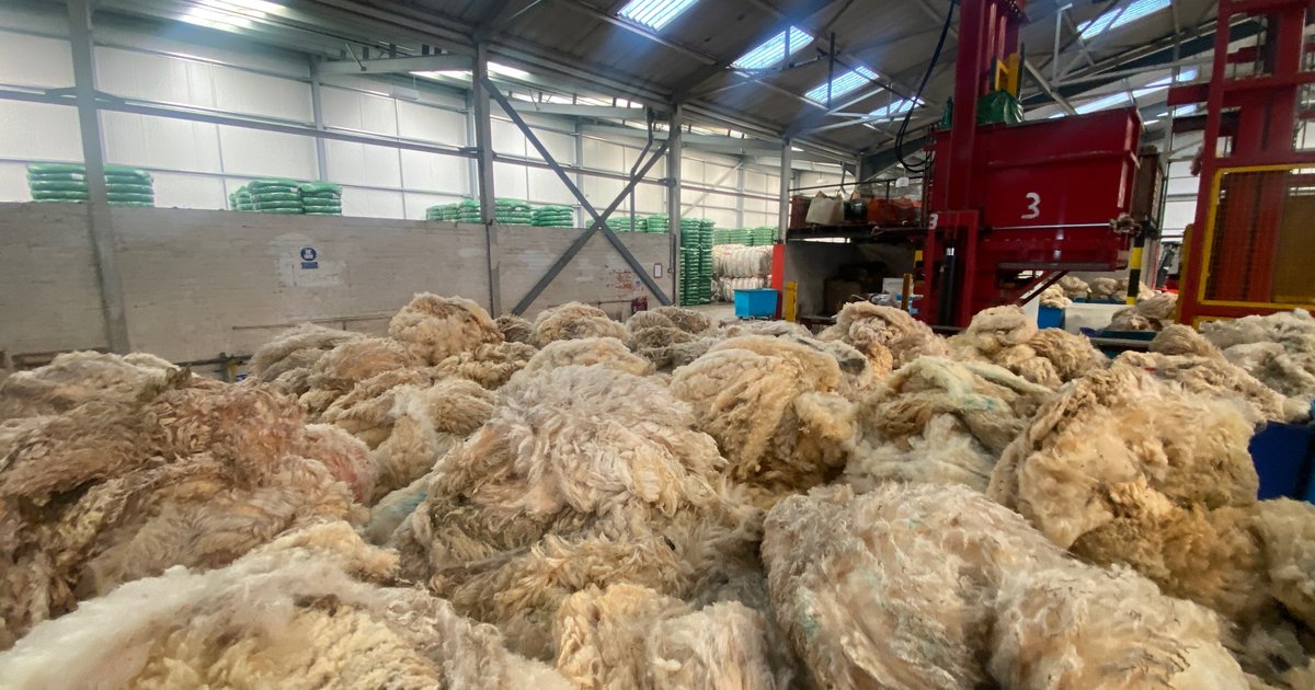 Reviving the Wool Industry: Lessons from British Wool’s Brecon Depot • CLA