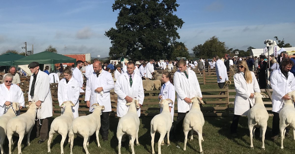 Join CLA for talk and drinks at Bucks County Show 2024 • CLA