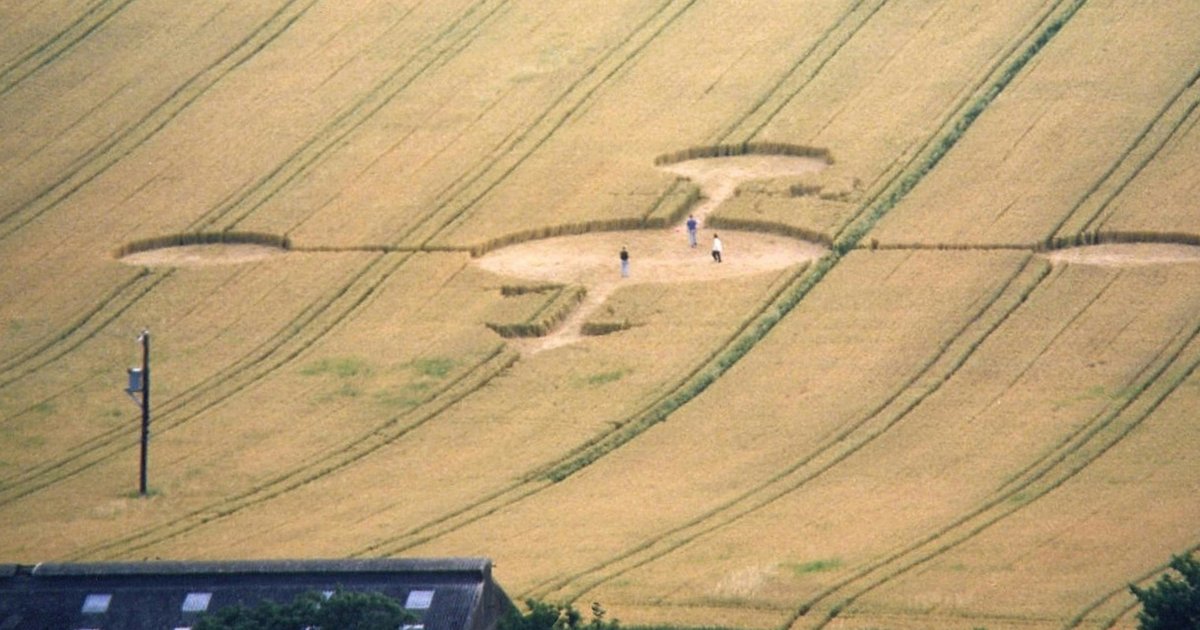 Crop circles - what, why and tips for farmers • CLA