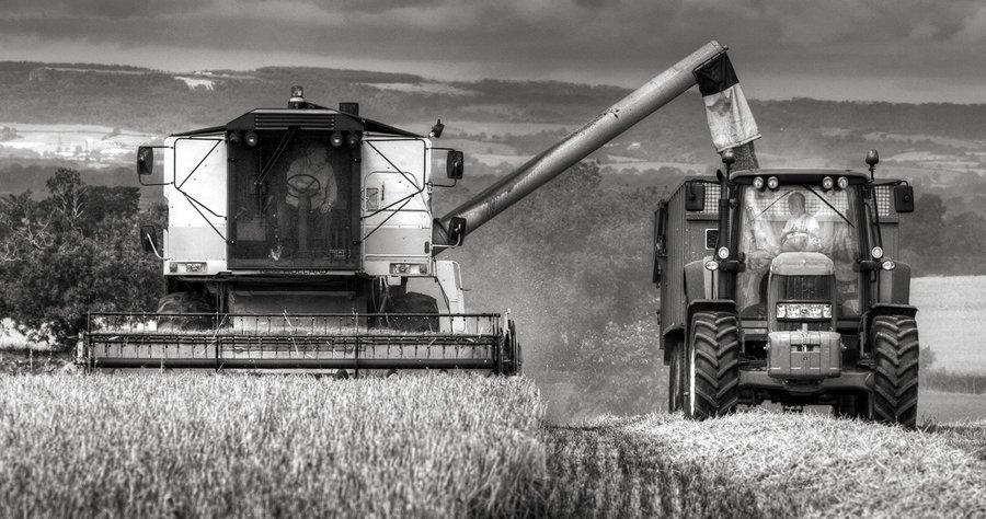 Key information shared at Farm Update North events • CLA