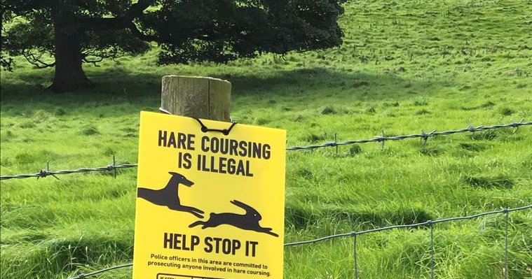 Impact of hare coursing revealed by farming families • CLA