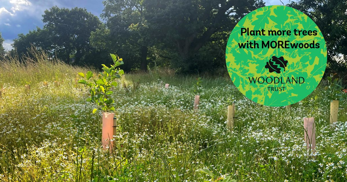 Ad: Trees on farms are a solution to nature and food security ...