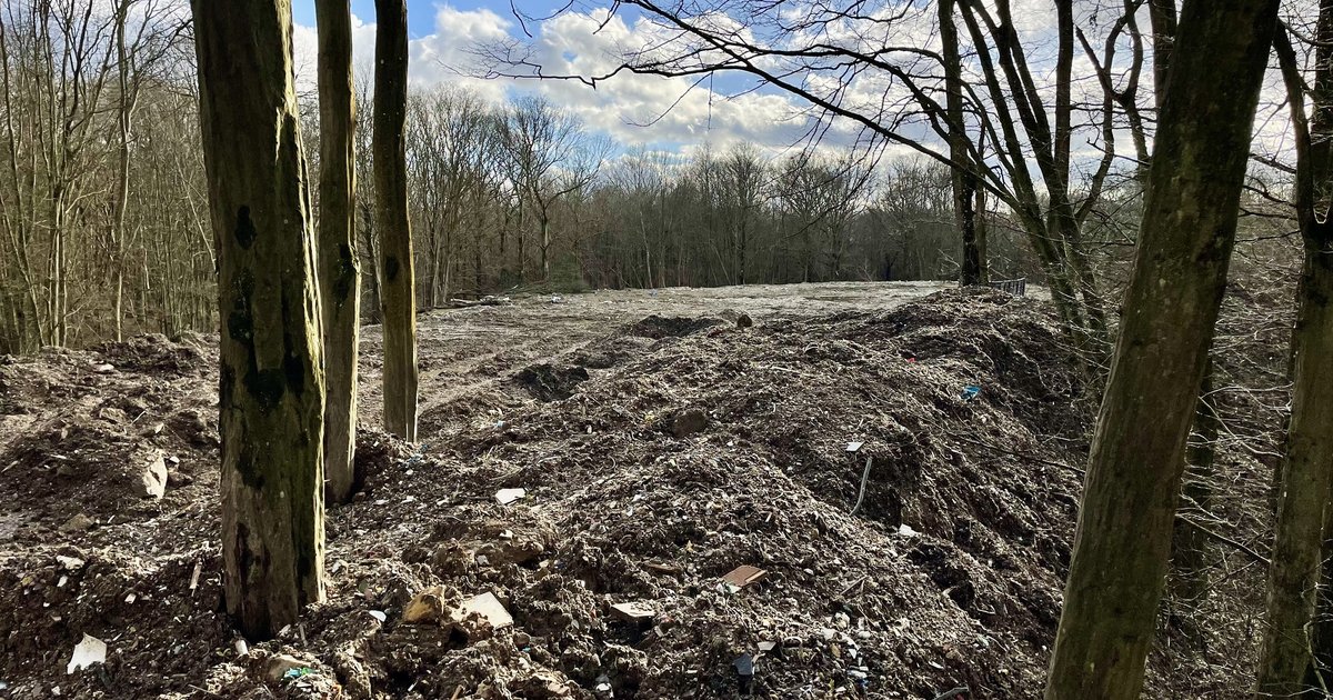Campaign to clear up Hoad’s Wood ramps up: Petition close to 5,000 ...