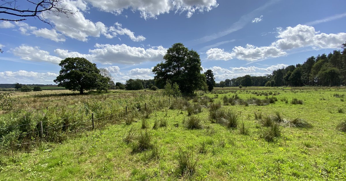 Advice & Support: Countryside Stewardship Mid Tier Scheme 2022 • CLA