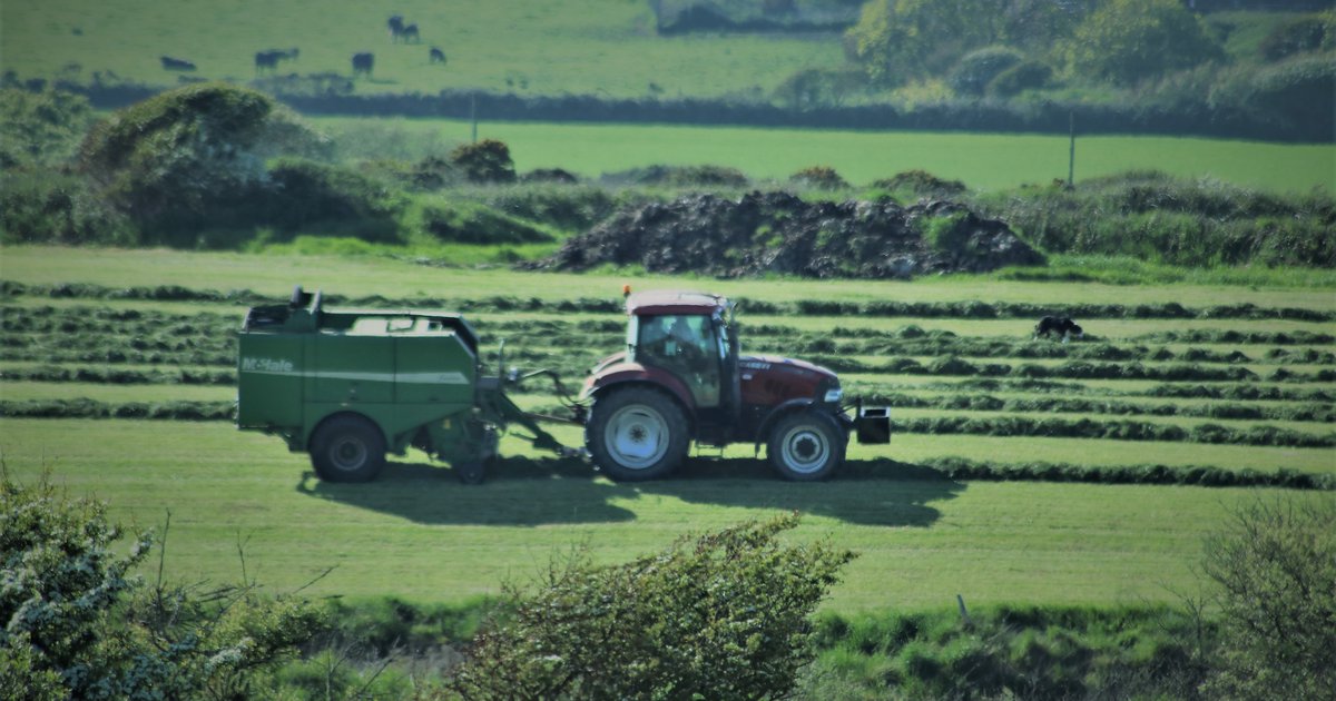 Sustainable Farming Incentive applications open on 30 June • CLA