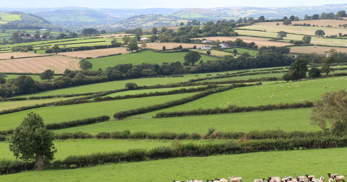 Proposals made towards the first agricultural framework in Wales • CLA