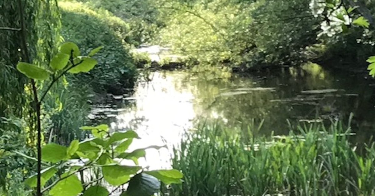 Red hot: water management and extreme heat • CLA