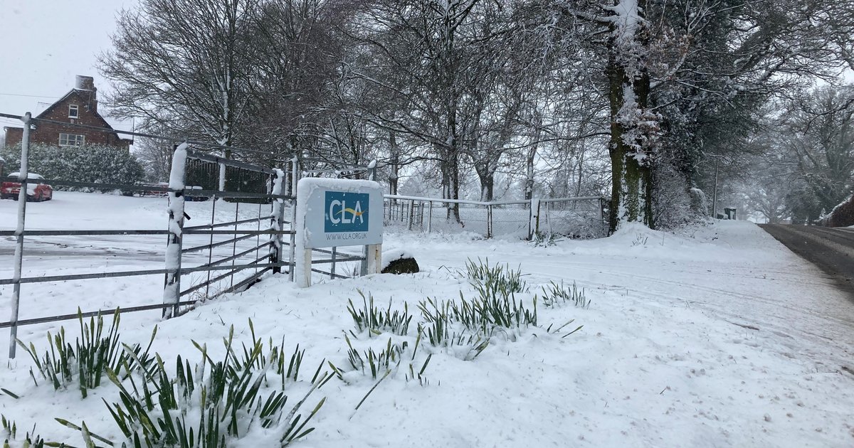 Blog: Winter Work Checklist • CLA