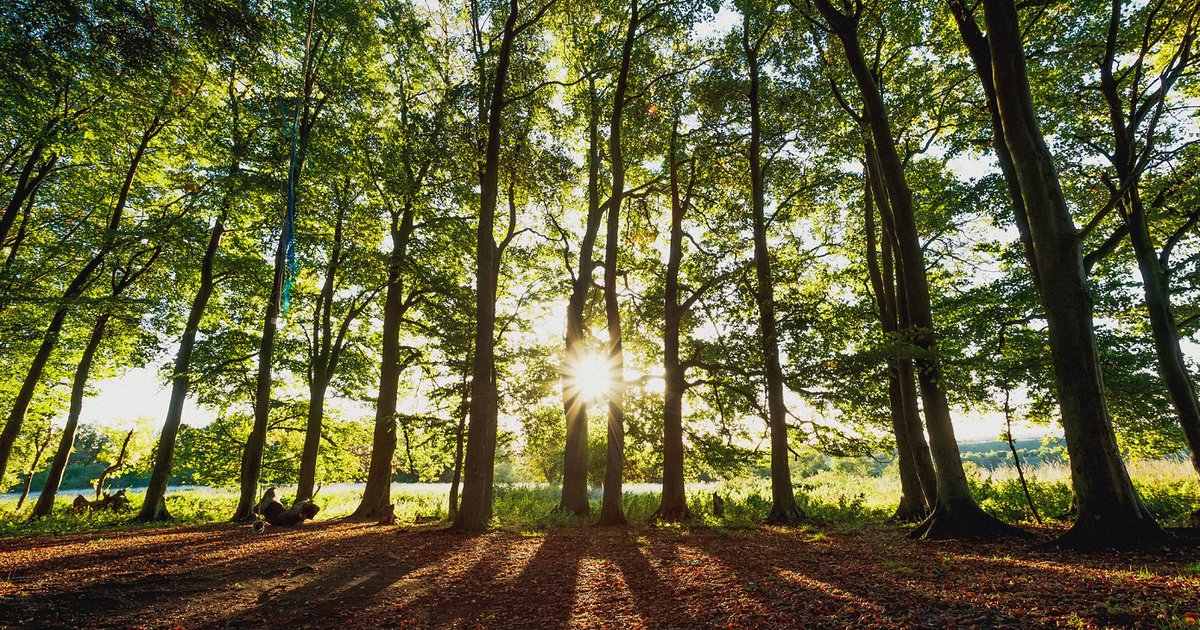 Environmental Improvement Plan - what is it and why it is important? • CLA