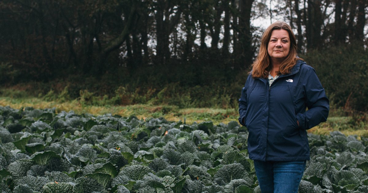 New CLA President takes office • CLA