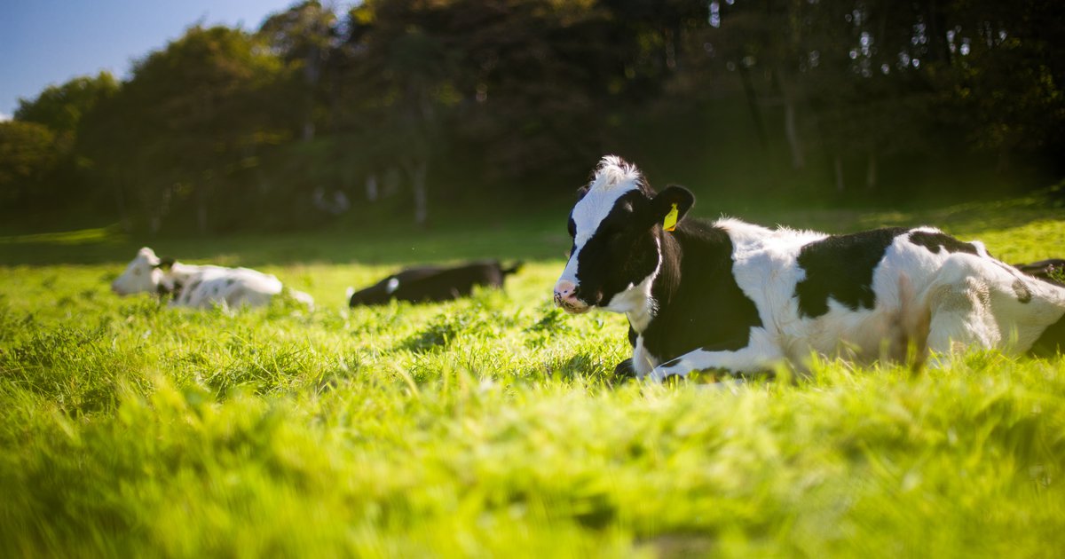 In Focus: Low carbon farming • CLA