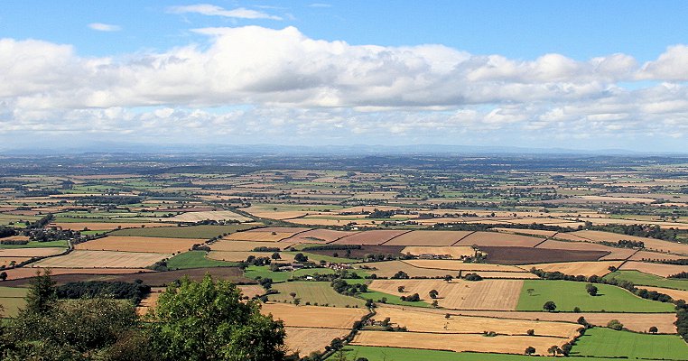 CLA responds to potential Defra review of ELM schemes • CLA