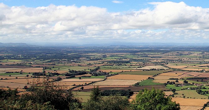 Sustainable Farming Incentive latest: Farmers now able to apply ...