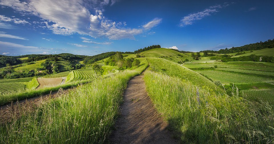 In focus: Class Q permitted development rights • CLA