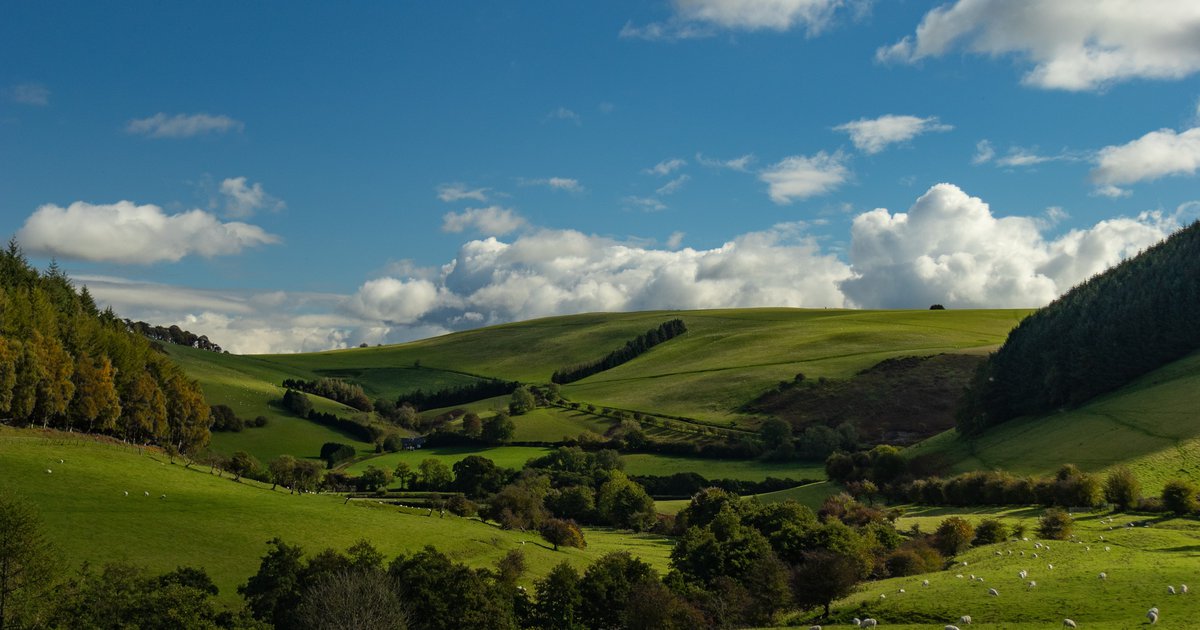 The exit scheme explained • CLA