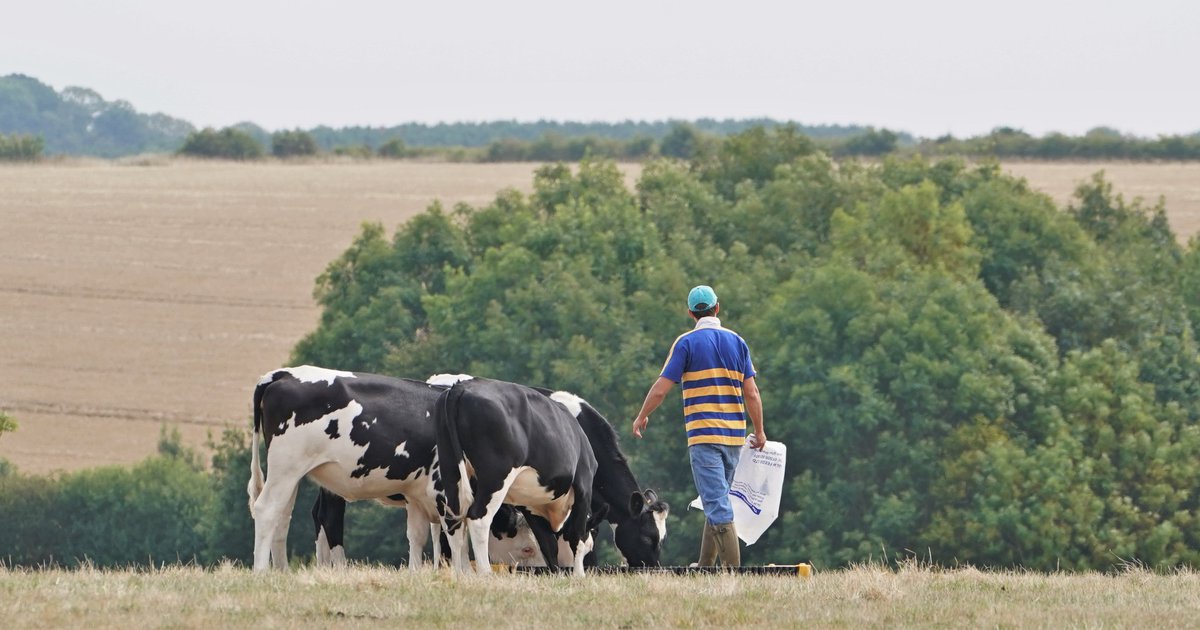 Beyond the idyllic: the challenges of rural isolation • CLA