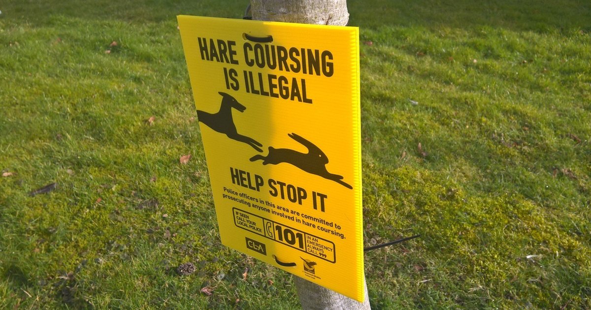 Rural crime: the problem of poaching • CLA