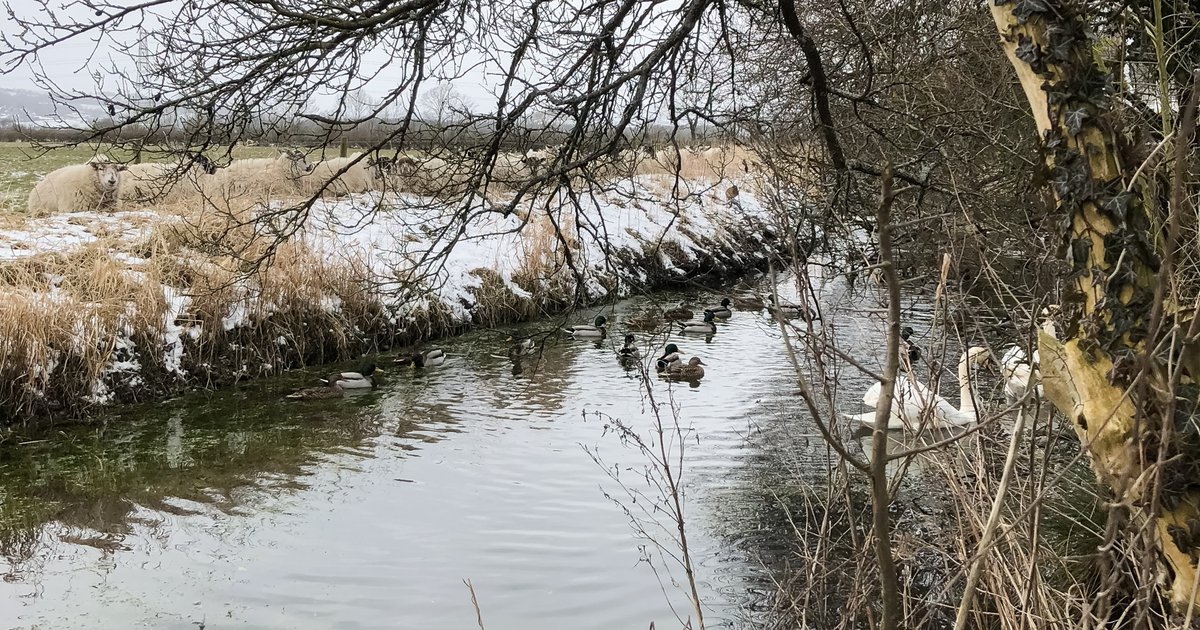 In Focus: Riparian Rights • CLA