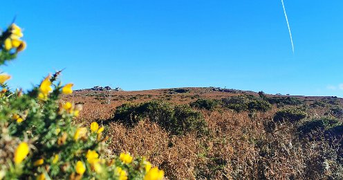 Piloting Defra's Landscape Recovery scheme - an update • CLA
