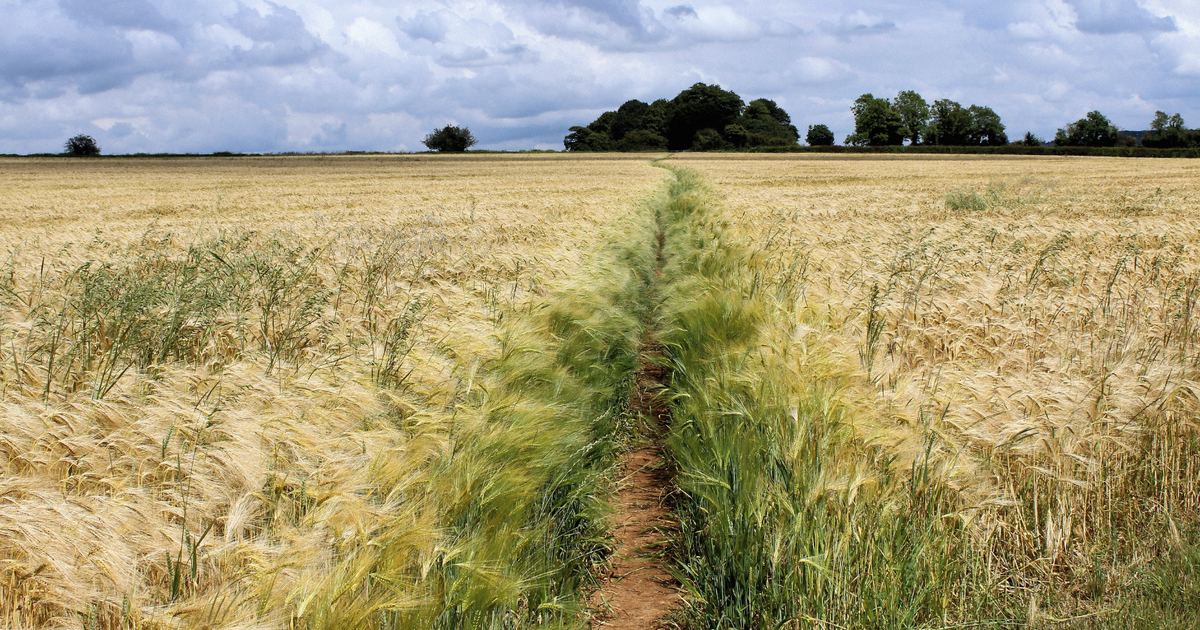 How to correctly reinstate a cross-field path on your land • CLA