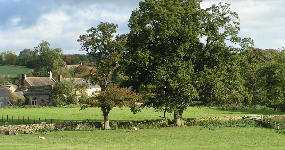 Growing the rural economy • CLA