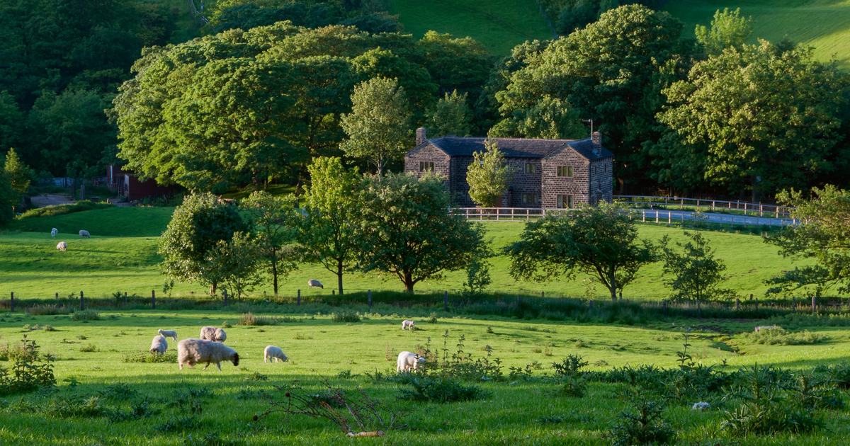 In Focus: Rural Exception Sites – providing affordable homes for local ...